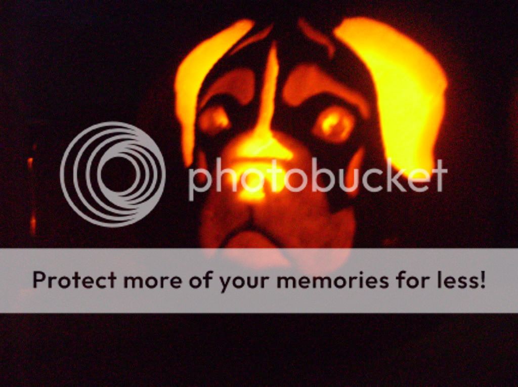 Boxer Pumpkin Stencil | Boxer Breed Dog Forums