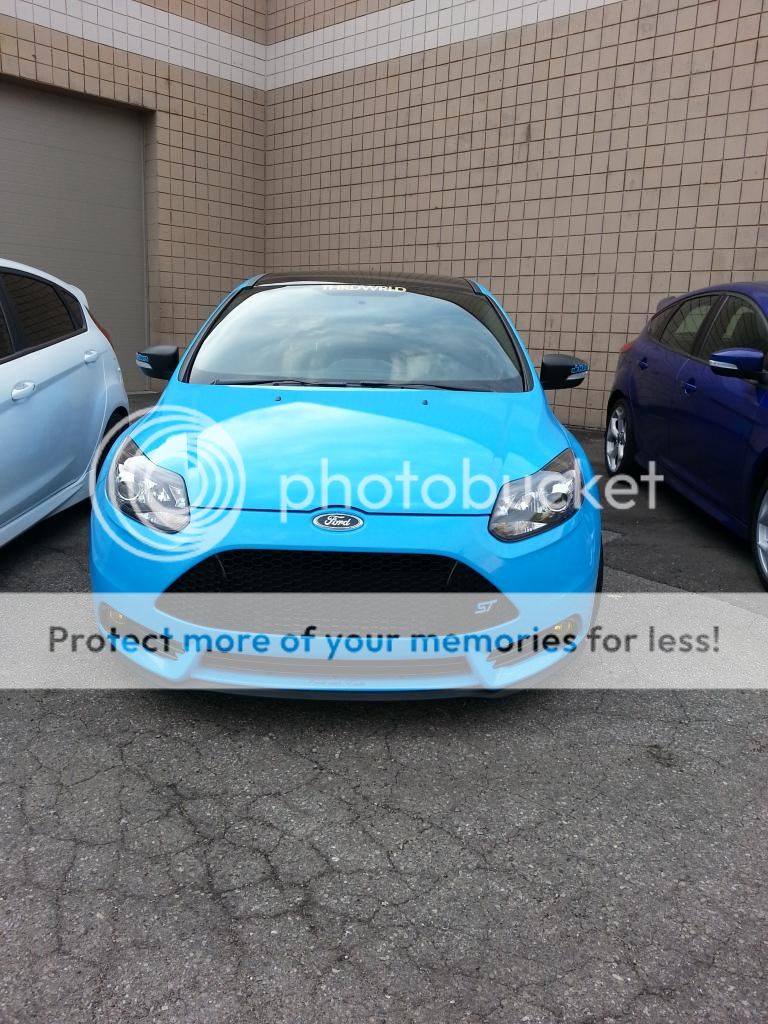 Different colored ST emblems? | Ford Focus ST Forum