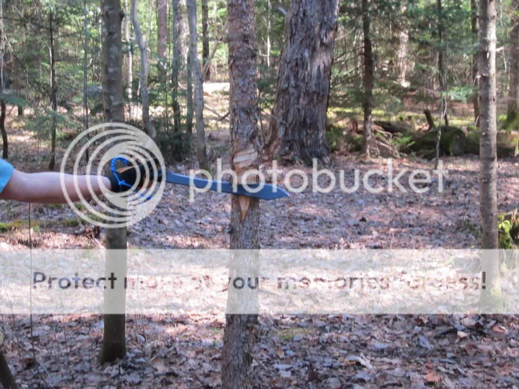 NE Beckerheads at Radeke Cabin in the White Mountain National Forest ...