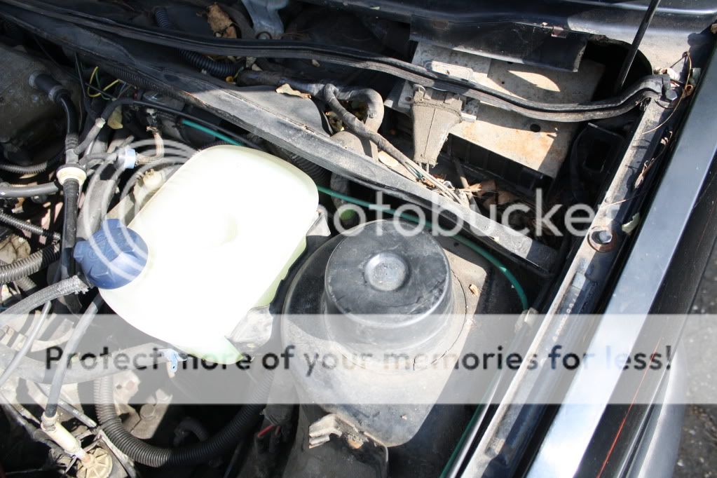 FS/FT:1986 mk2 gti 8v | VW Vortex - Volkswagen Forum