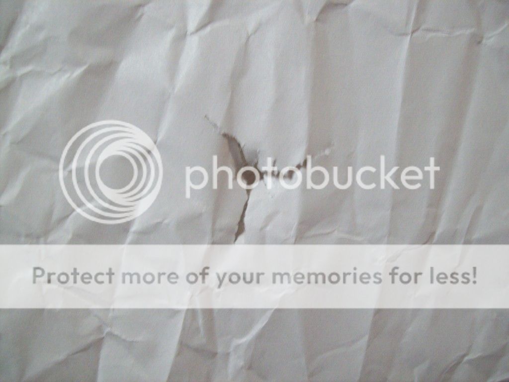 How to fix this paper tear? Picture | Archery Talk Forum